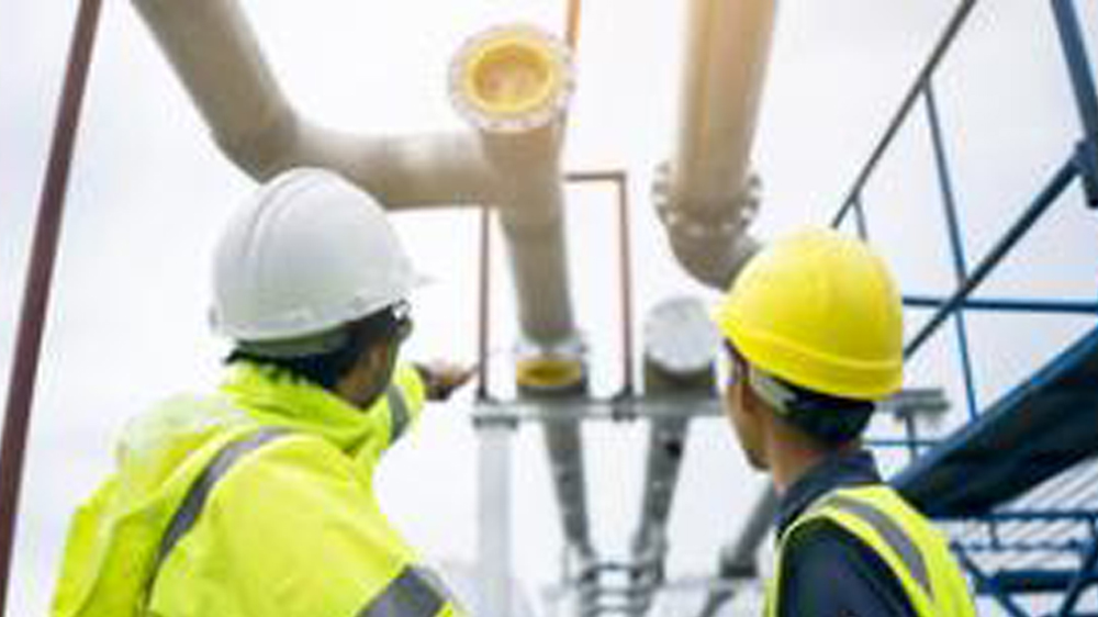 custom copy – Texas Sampling