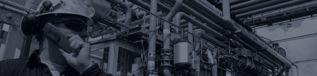 strip2 – Texas Sampling