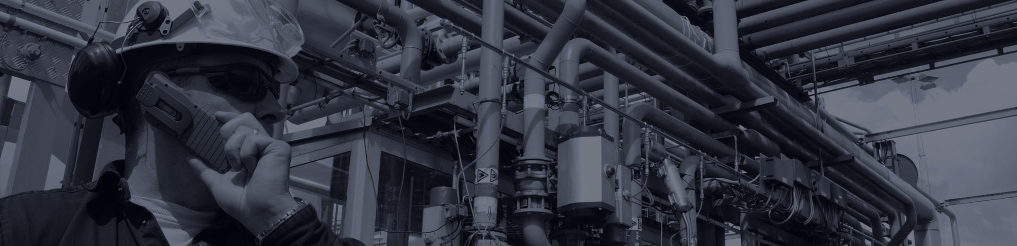 strip2 – Texas Sampling